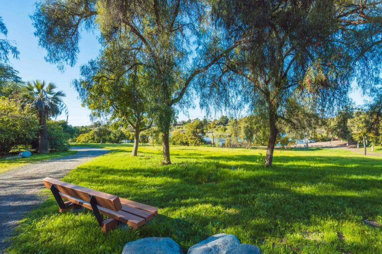 12 Best Things To Do In Oceanside, California