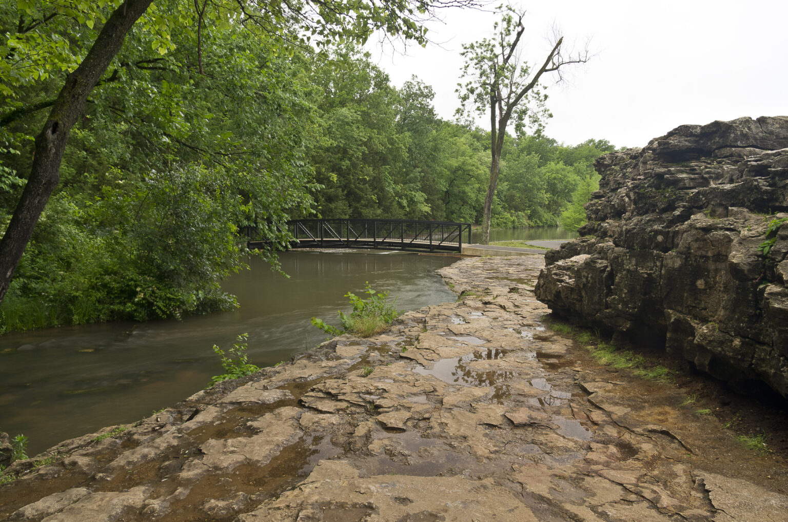 12 Best Things To Do In Springfield, Missouri