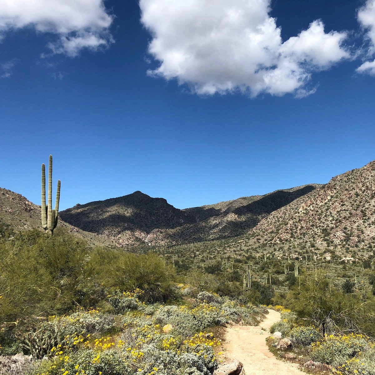 12 Best Things To Do In Surprise, Arizona