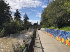 12 Best Things To Do In Santa Rosa, California - Your Ultimate NorCal ...
