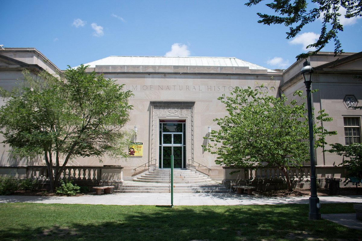 12 Best Things To Do In Springfield, Massachusetts – Unmissable Gems ...