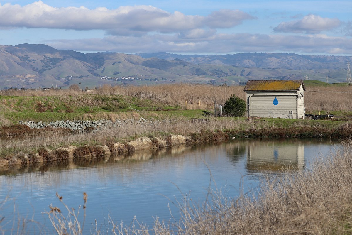 12 Best Things To Do In Sunnyvale, California - Silicon Valley's Hidden ...