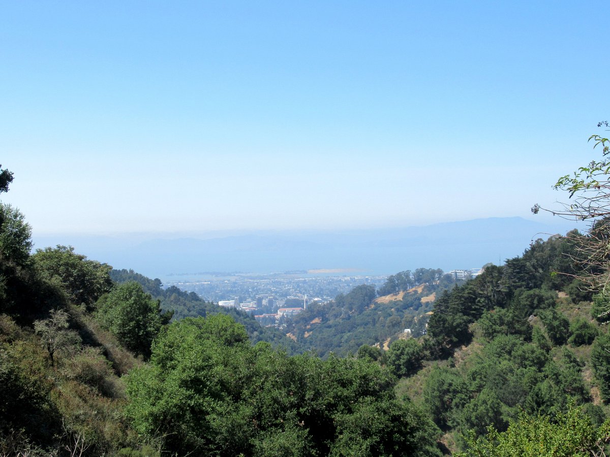 12 Best Things To Do in Berkeley, California – Explore Like a Local