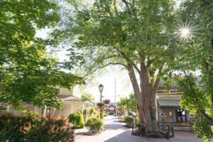 12 Best Things To Do In West Jordan, Utah – The Ultimate Local's Guide
