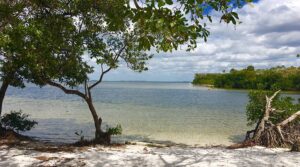 12 Best Things To Do in Brandon, Florida – Your Ultimate Local Guide