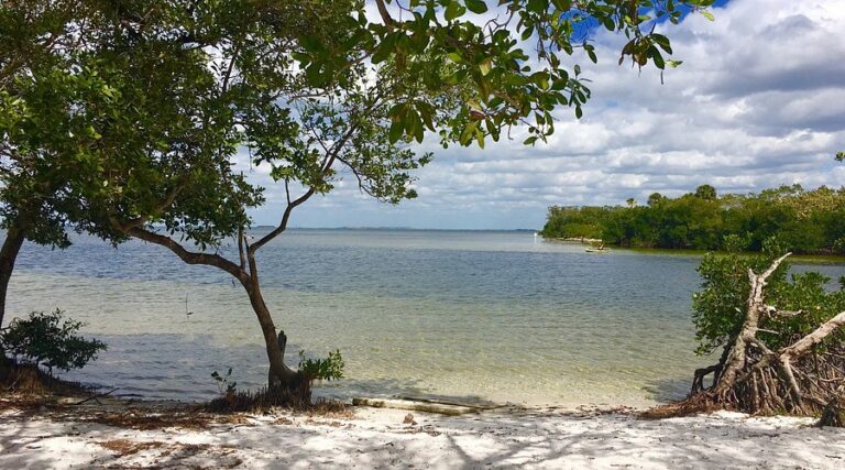 12 Best Things To Do in Brandon, Florida – Your Ultimate Local Guide