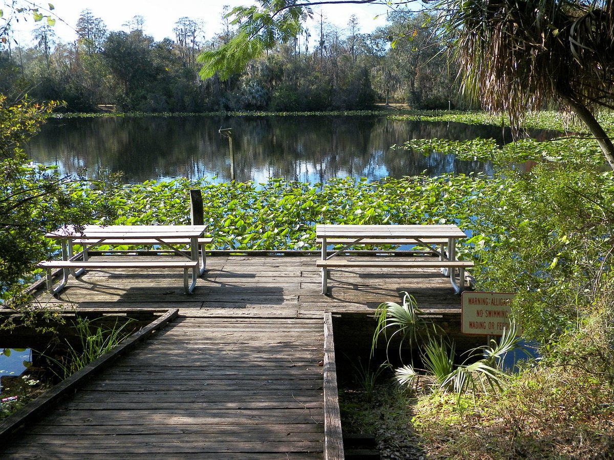12 Best Things To Do in Brandon, Florida – Your Ultimate Local Guide