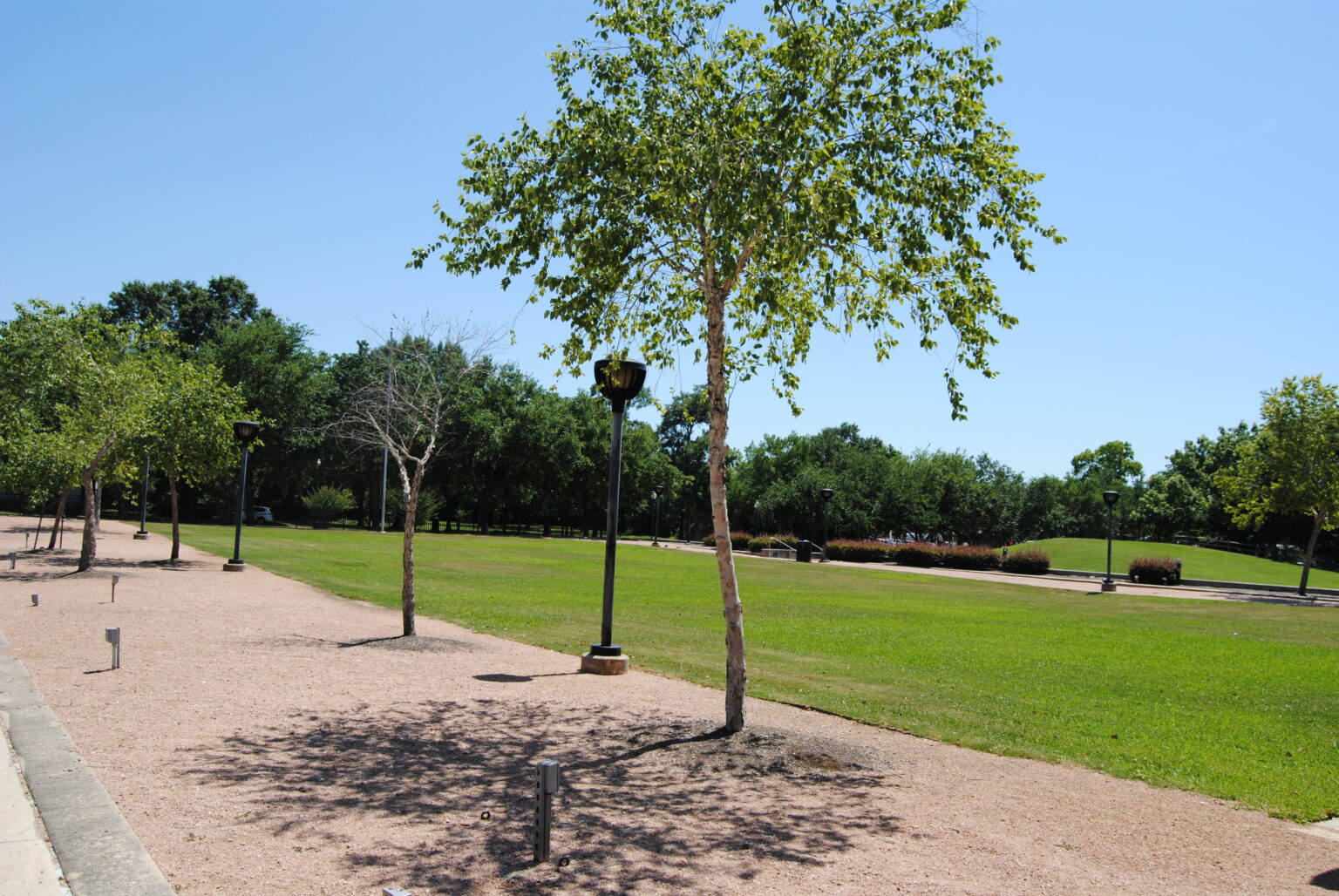 12 Best Things To Do In Conroe, Texas
