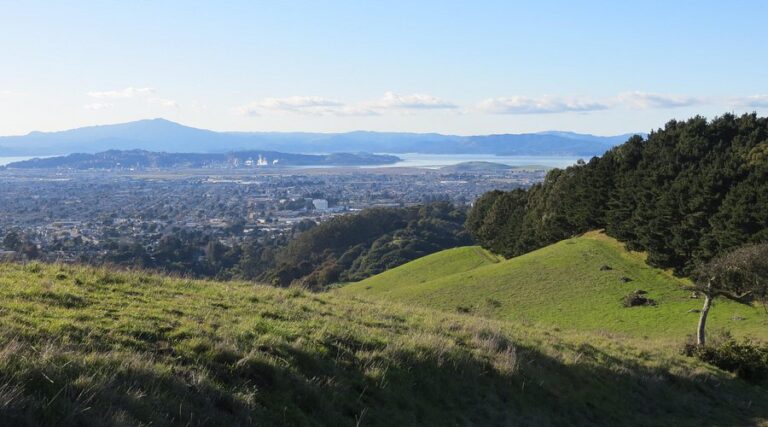 12 Best Things To Do In Richmond, California