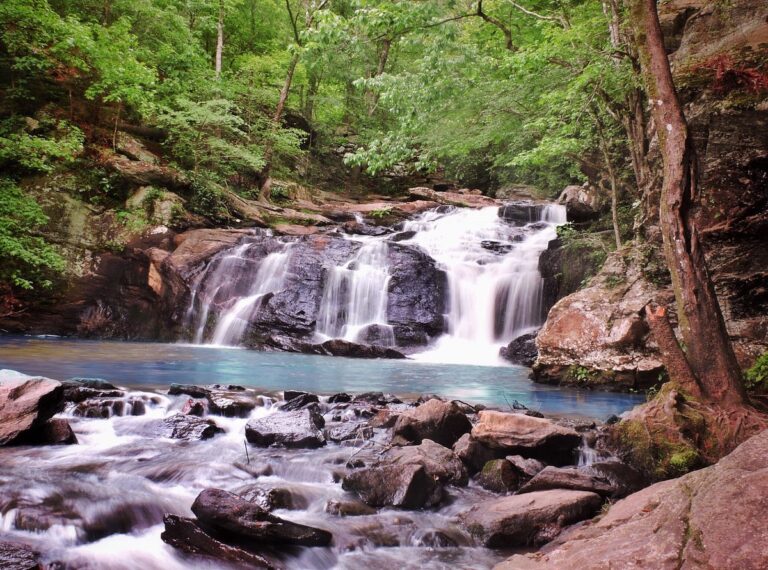 12 Best Things To Do In South Fulton, Georgia